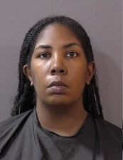 Woman under arrest for attempted murder for incident along I-69 ...