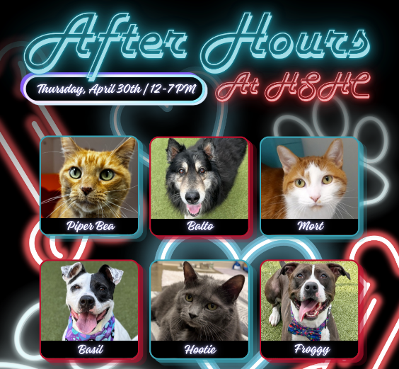 Hamilton County Humane Society April 30 Adoption Day Announcement ...